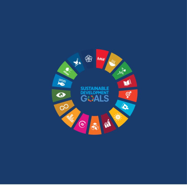 Nachhaltigkeit UN SDG goals | NNZ Switzerland